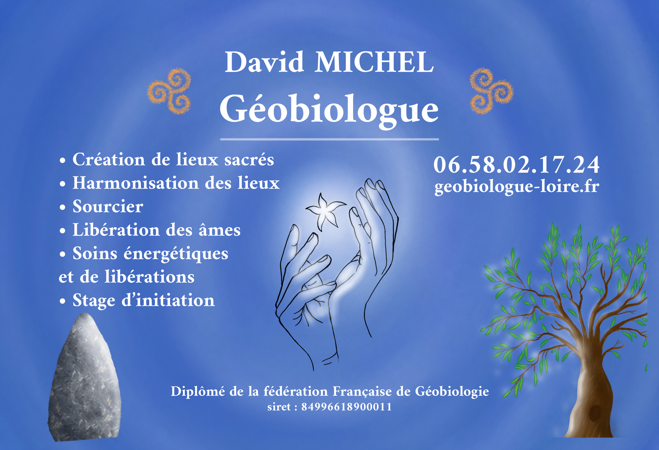 DAVID MICHEL - Naturissima